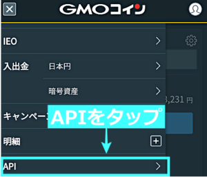GMOコインAPIキーを作成・取得する方法【資産管理家計簿アプリで使う】